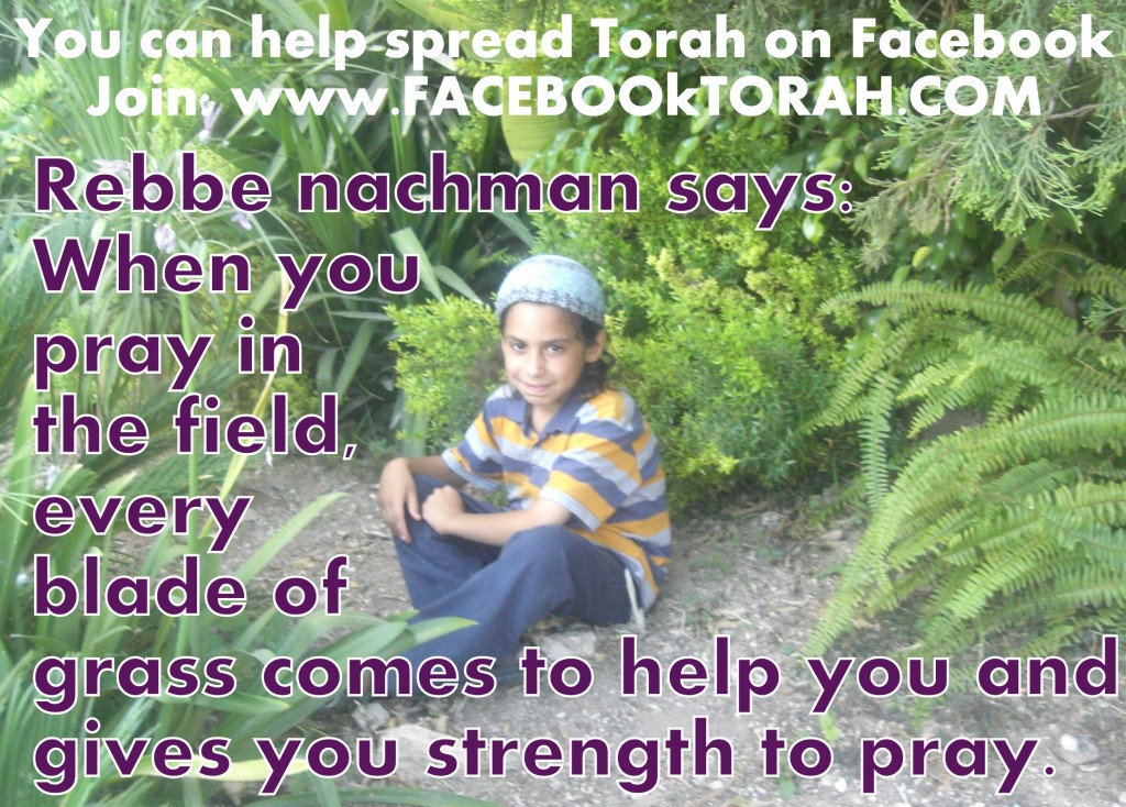 Rabbi Nachmans Inspiring Sayings - Jewish Outlook